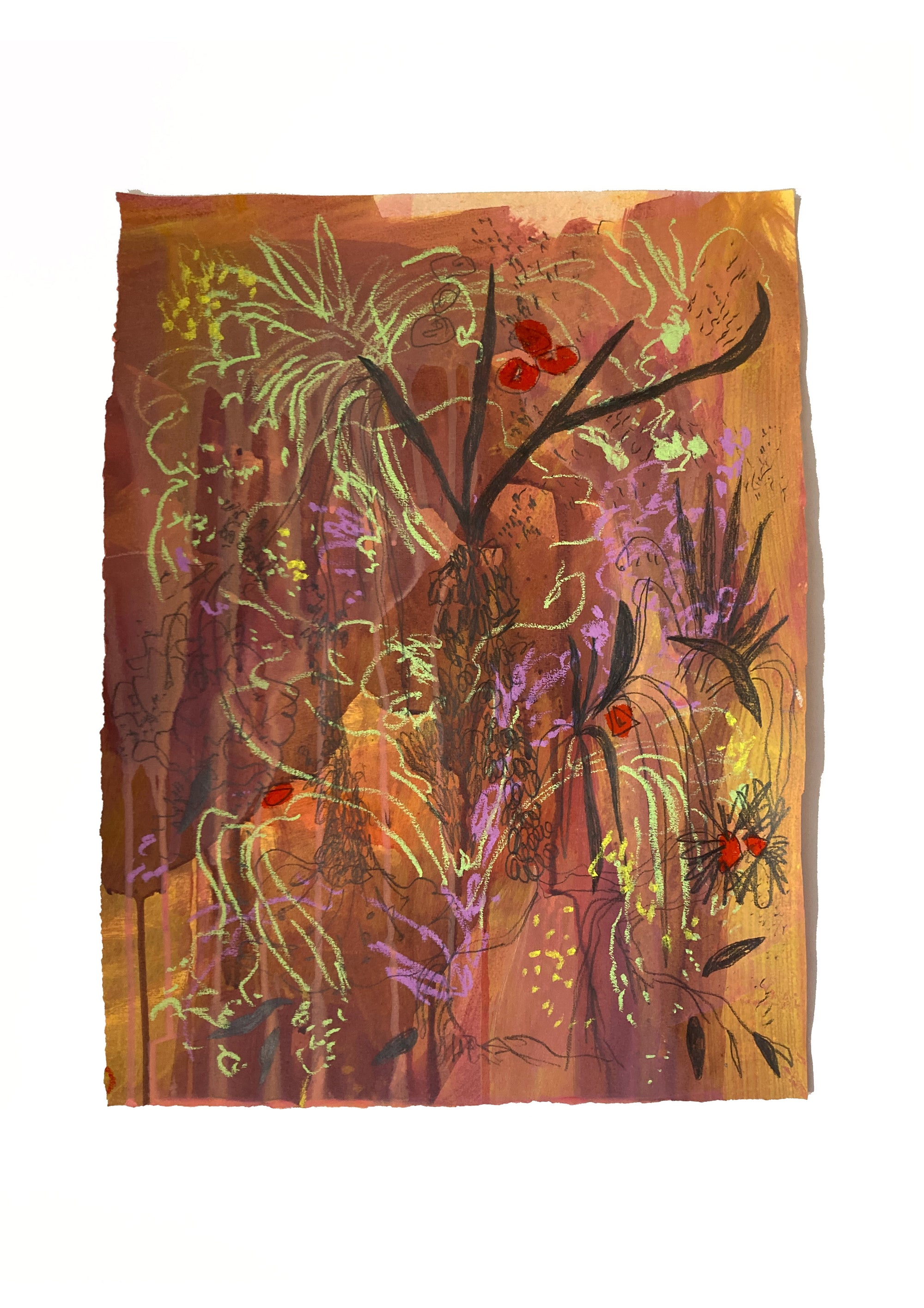 The Bored Peach Club Shop